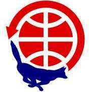 Fox-1C and Fox-1D Satellites Ready for Payload Integration