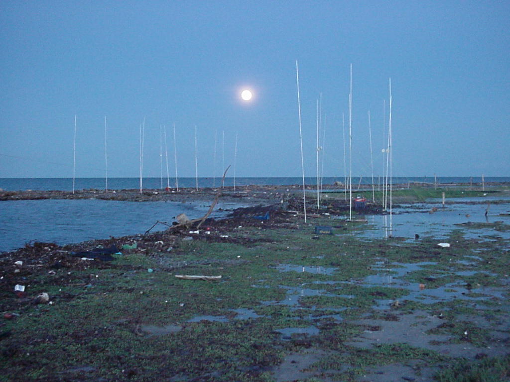 Richard Dean Straw, N6BV, ARRL “Antenna Expert,” Silent Key